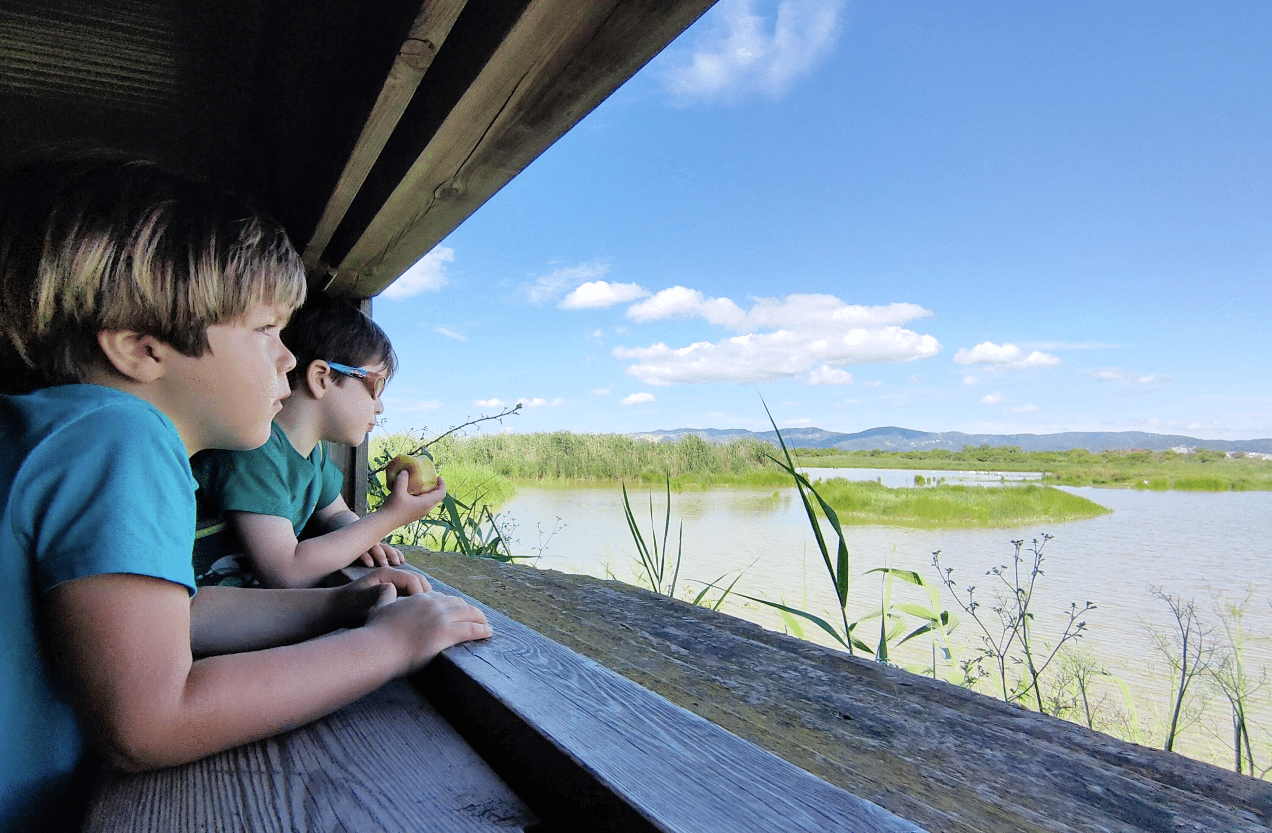 Excursió amb nens a l'espai natural del Remolar al Delta del Llobregat